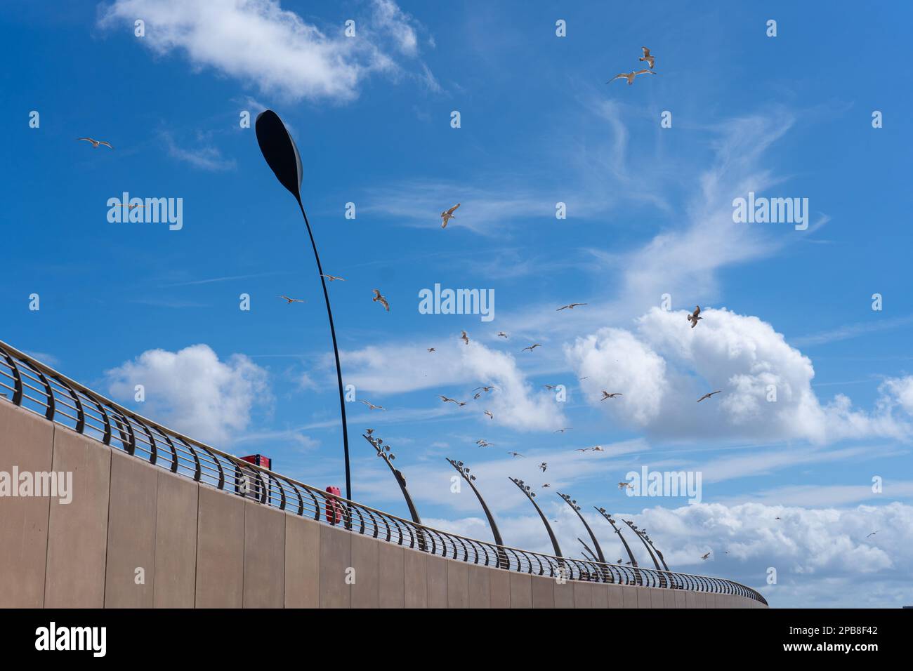 Back lit seagulls flying sun hi-res stock photography and images - Alamy