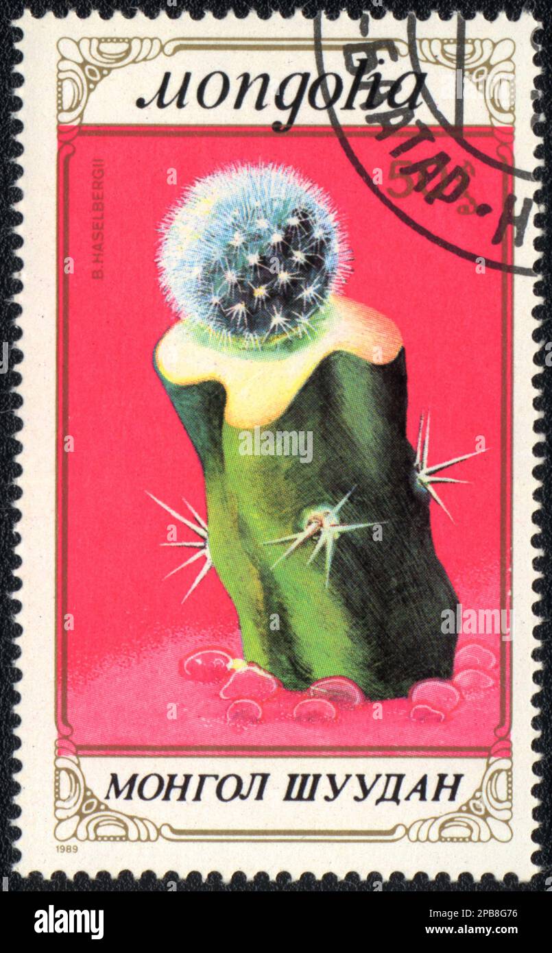 A stamp printed in MONGOLIA shows a Parodia Haselbergii, series "CACTUS ...