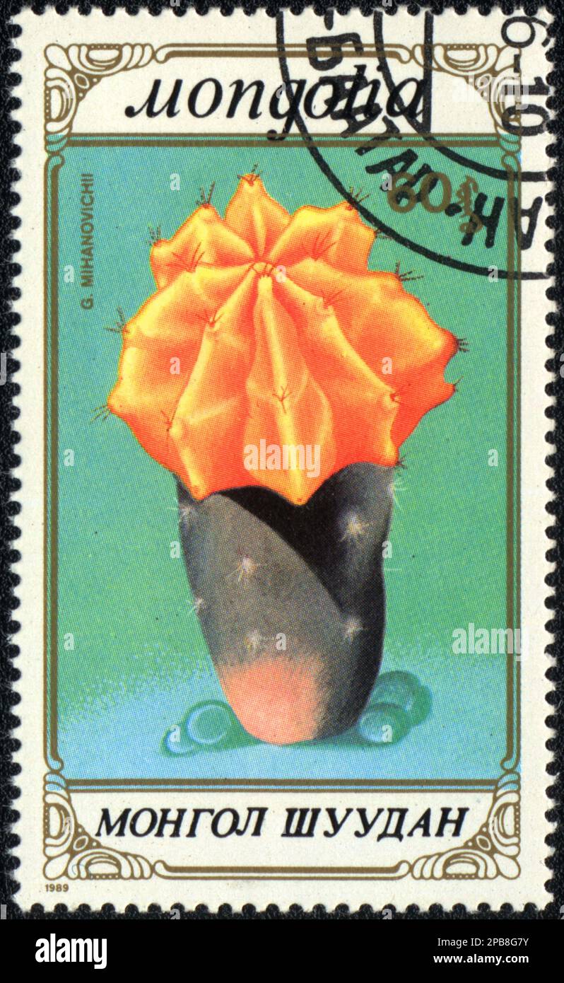 A stamp printed in MONGOLIA shows a Gymnocalycium Mihanovichii, series ...
