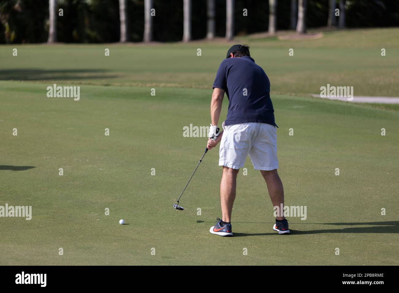 Men playing golf at Trump National Doral Golf Course, Miami, Florida ...