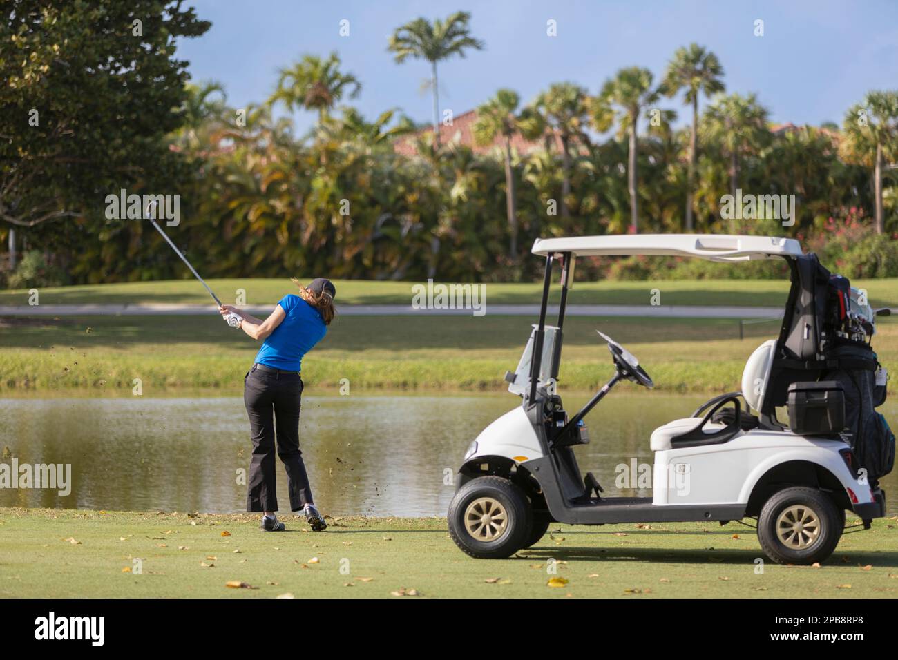 Woman playing golf at Trump National Doral Golf Course, Miami, Florida ...