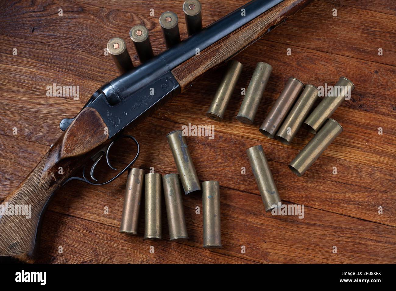 Antique 16-gauge break-action smooth-bored shotgun with brass cases and ...