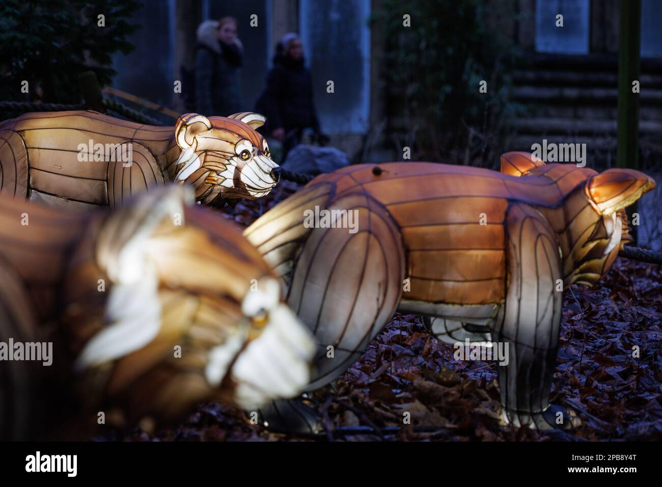 12 March 2023, Lower Saxony, Osnabrück: Illuminated animals are on ...