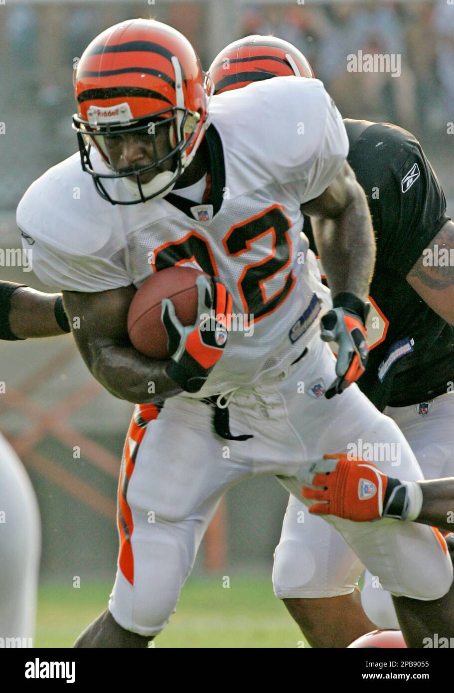 Cincinnati Bengals running back Rudi Johnson (32) scores a touchdown ...