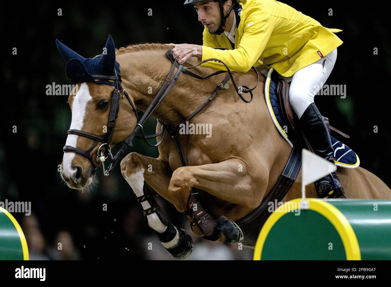 DEN BOSCH - Yuri Mansur (BRA) on Vitiki in action during the World Cup ...