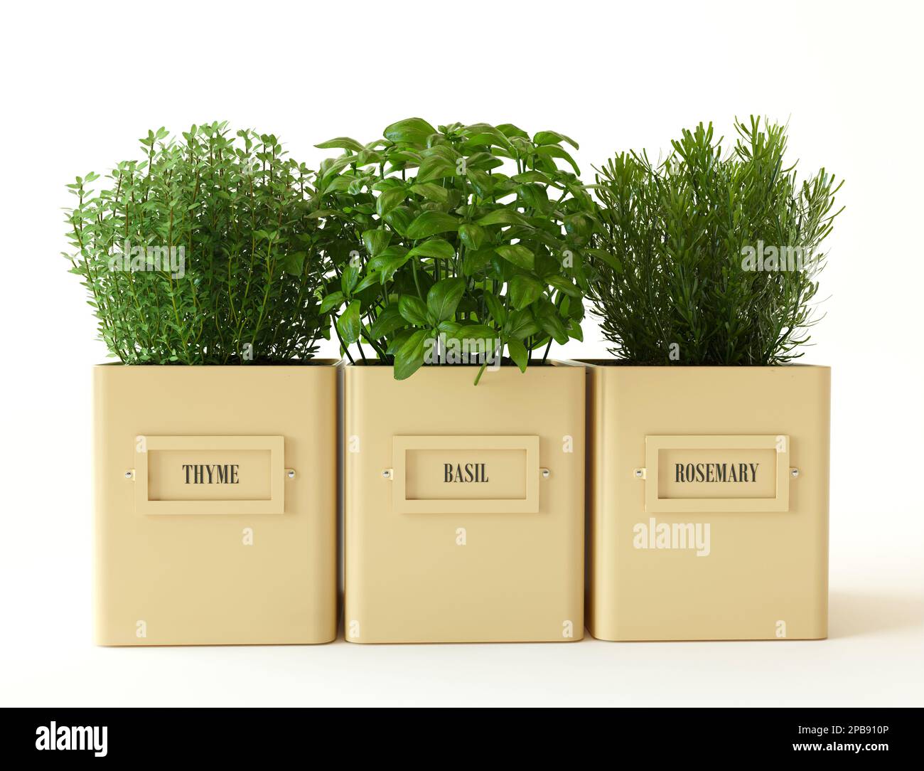 Thyme, basil and rosemary green plants isolated on white background ...