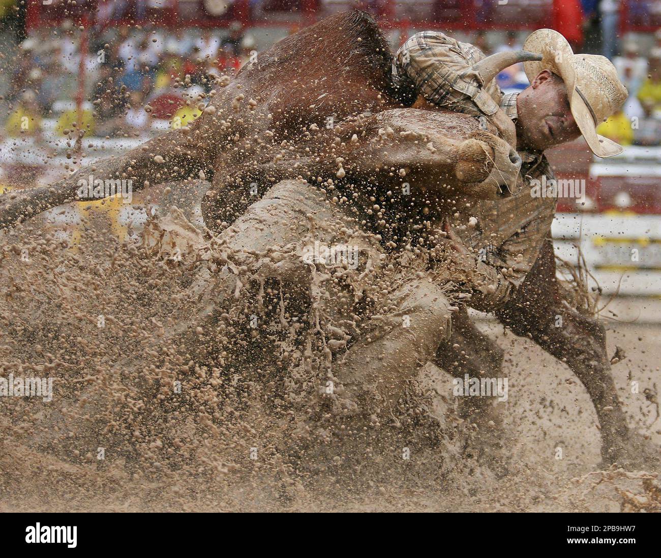Travis Muir of Pierce, Colo. brings down a steer in a muddy arena with ...