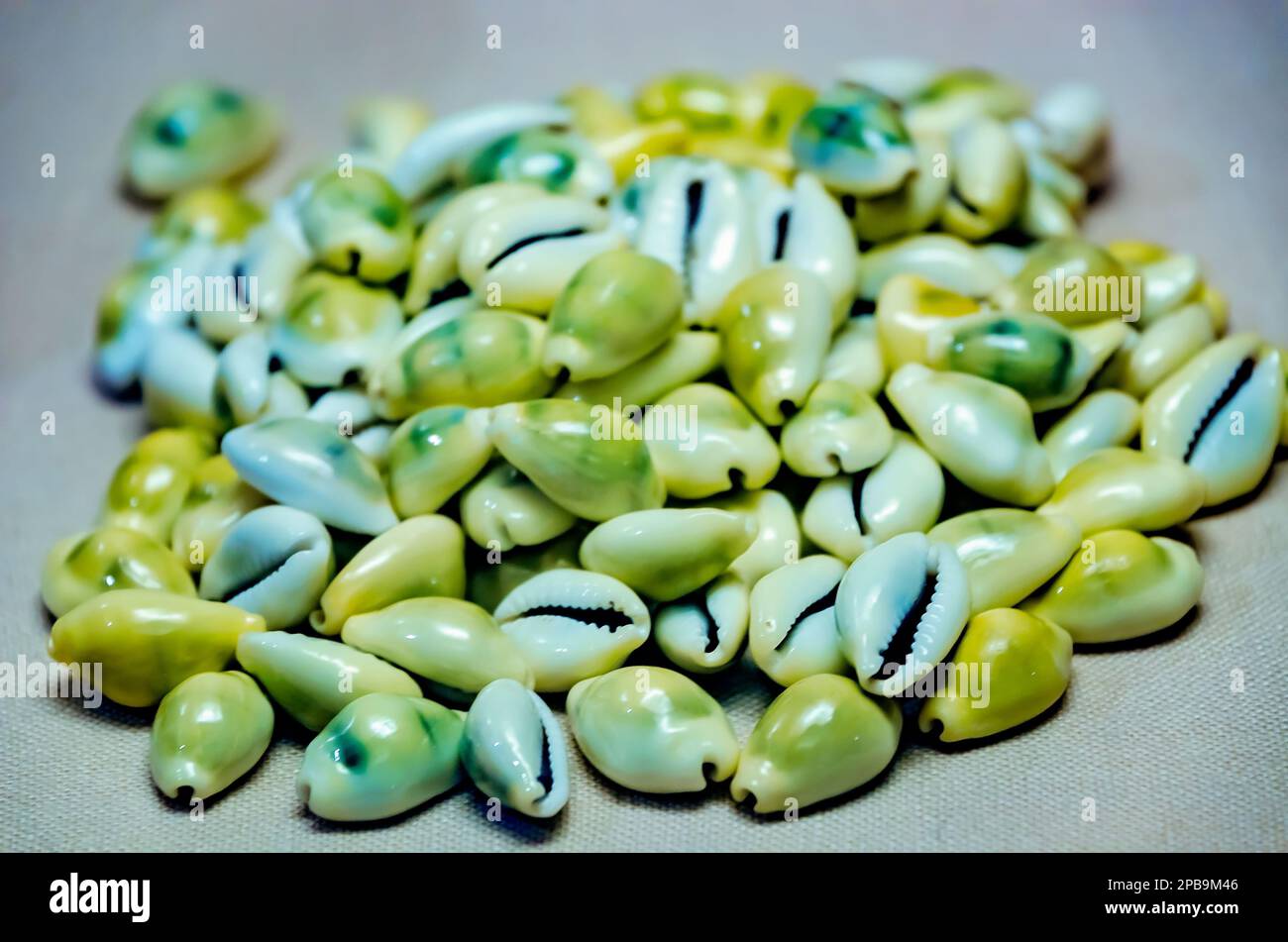 Cowries hi-res stock photography and images - Alamy