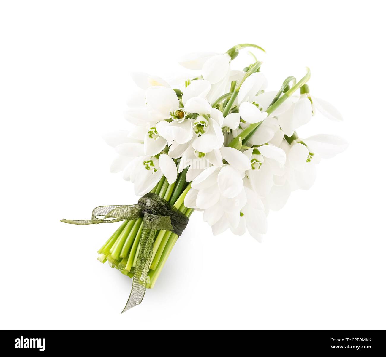 Beautiful snowdrops on snow Cut Out Stock Images & Pictures - Alamy