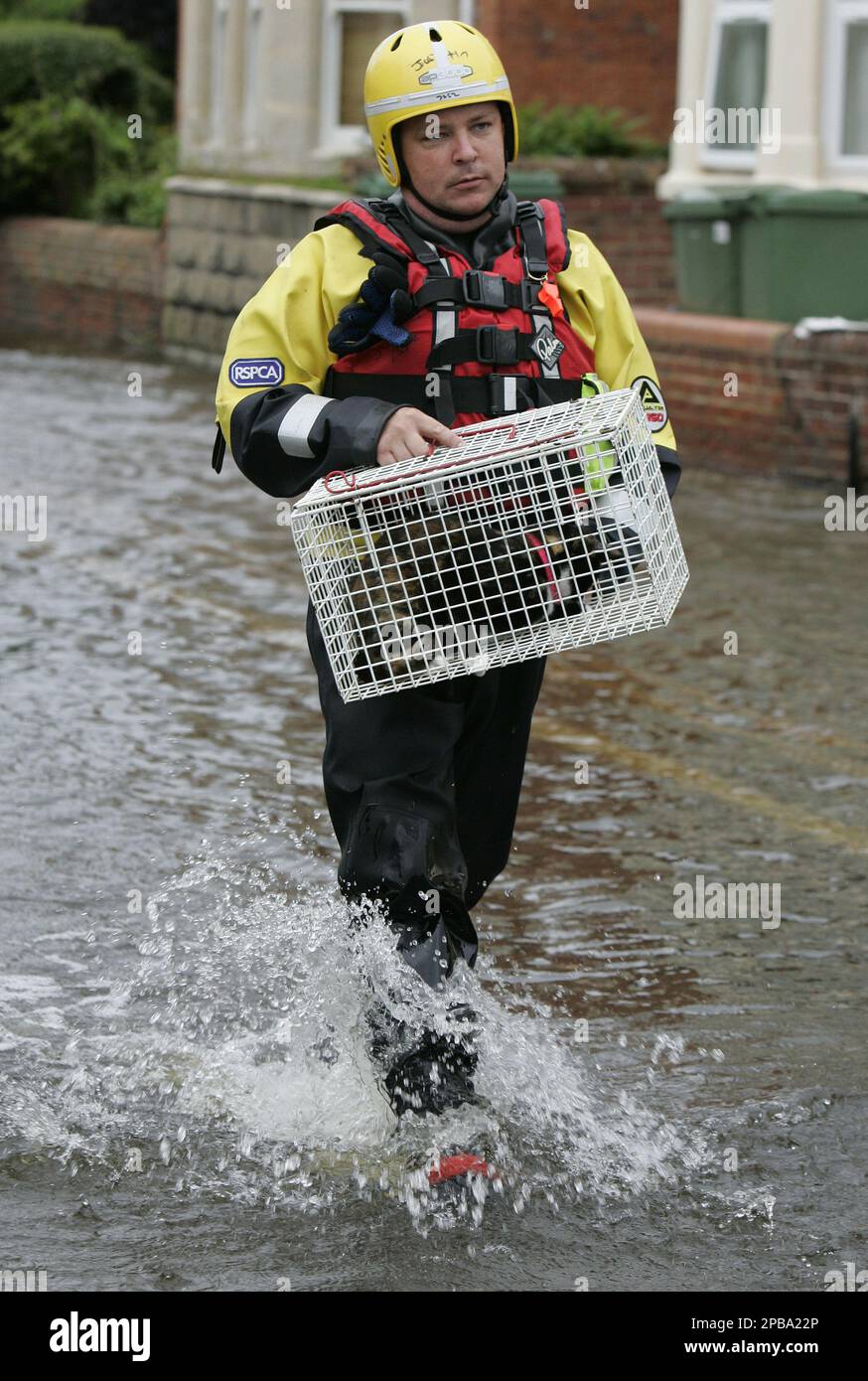A rescued cat is carried through flood water by an RSPCA animal ...