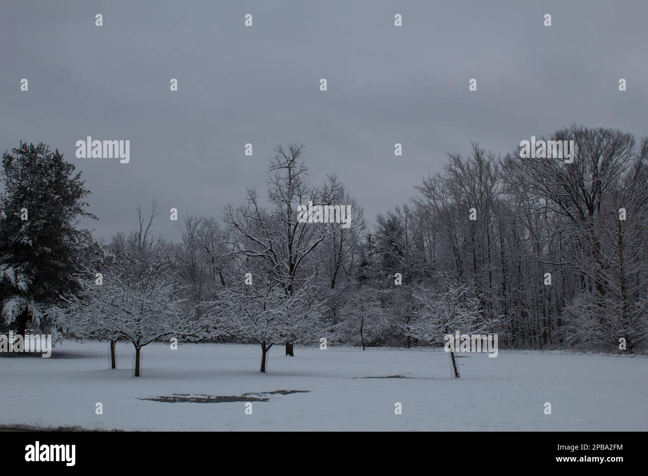 Trees in winter in Northeast Ohio Stock Photo - Alamy