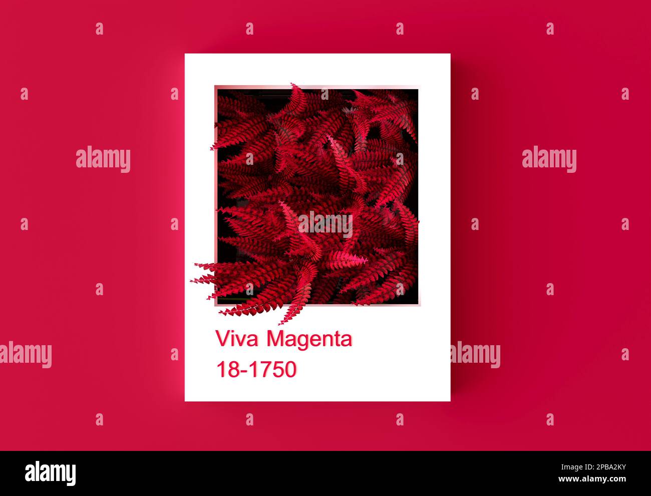 Viva magenta, trend color of 2023 year. White square with fern ...