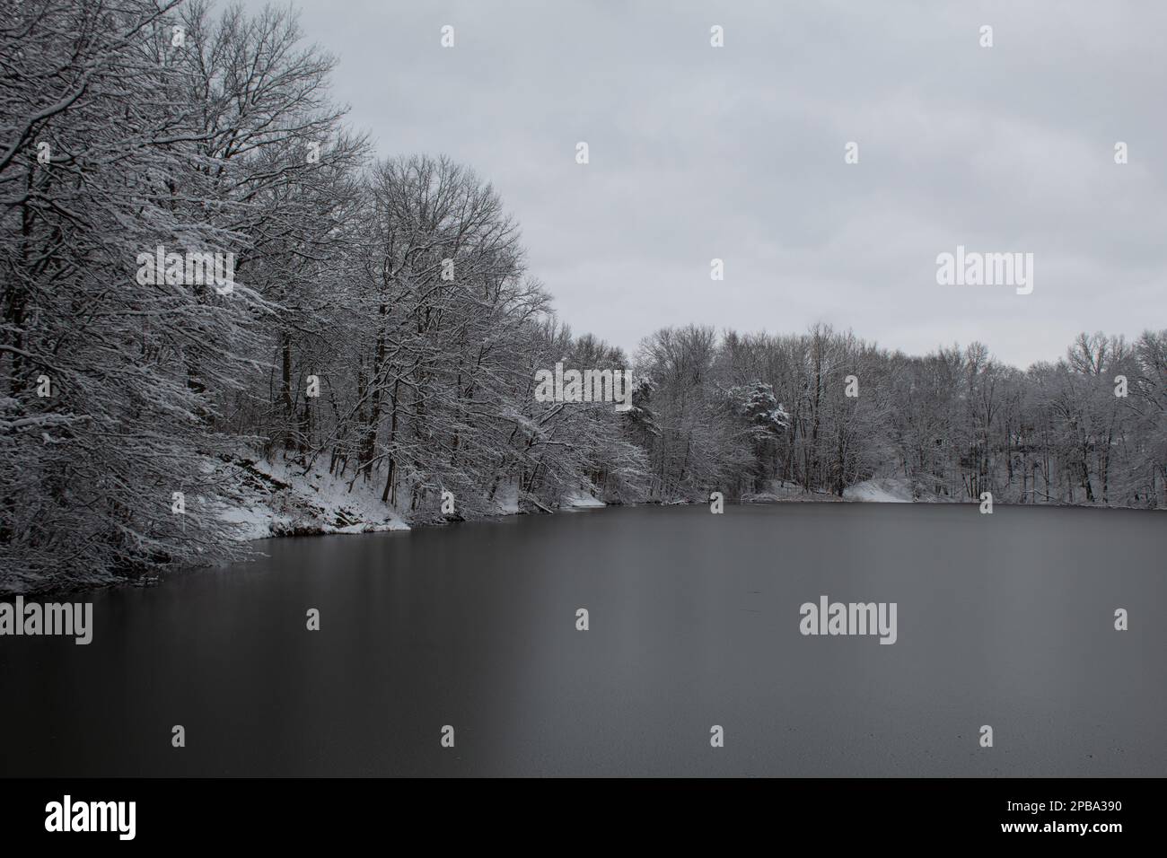 Trees in winter in Northeast Ohio Stock Photo - Alamy