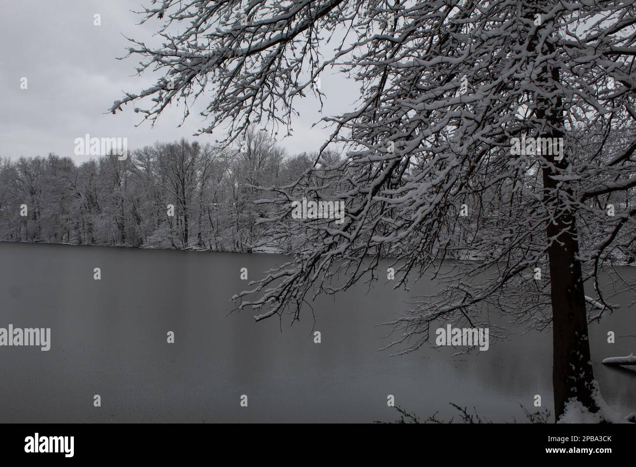 Trees in winter in Northeast Ohio Stock Photo - Alamy