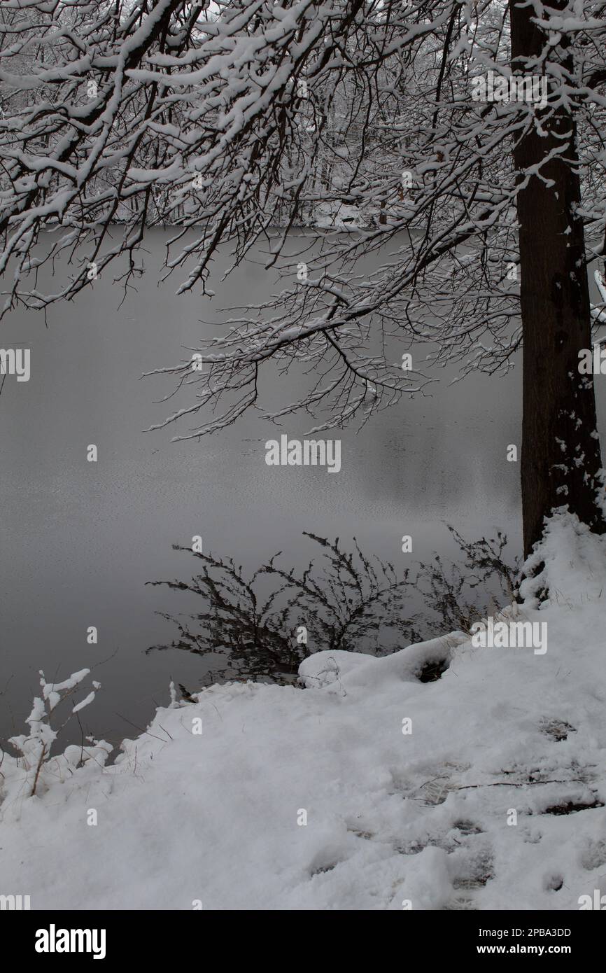 Trees in winter in Northeast Ohio Stock Photo - Alamy
