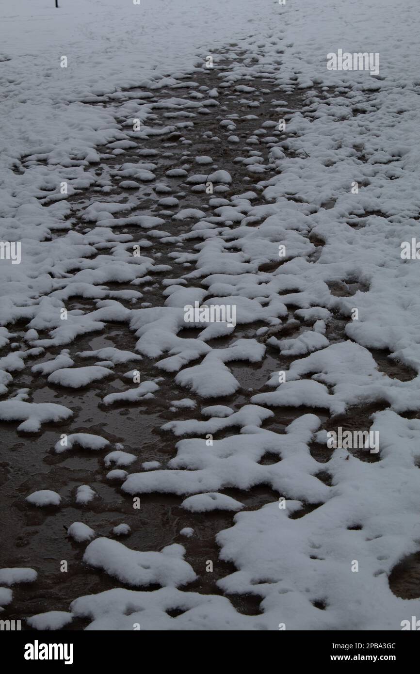 Trees in winter in Northeast Ohio Stock Photo - Alamy