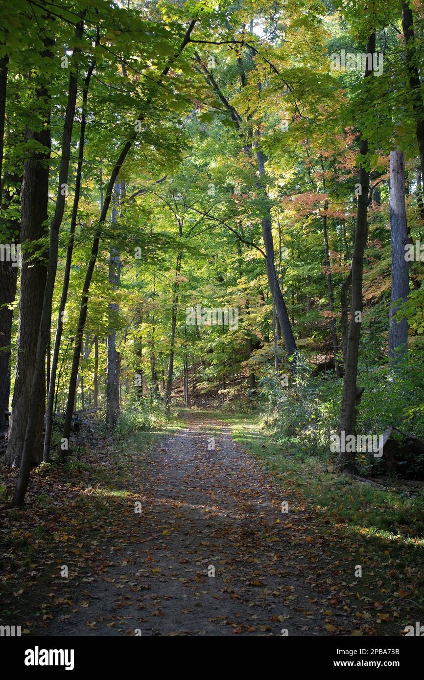 Pathway in the park in Ohio Stock Photo - Alamy