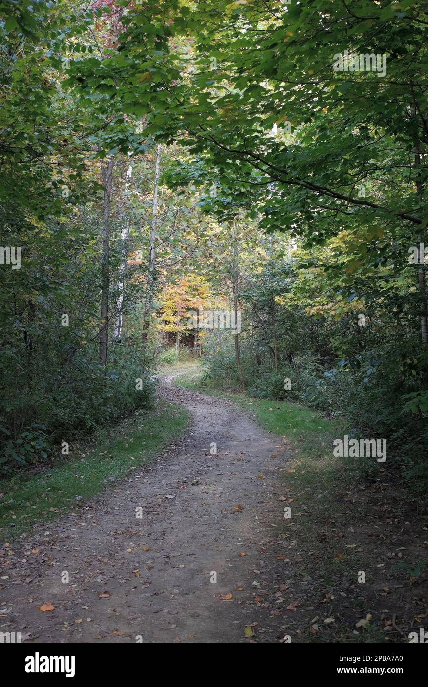 Clear pathway hi-res stock photography and images - Alamy