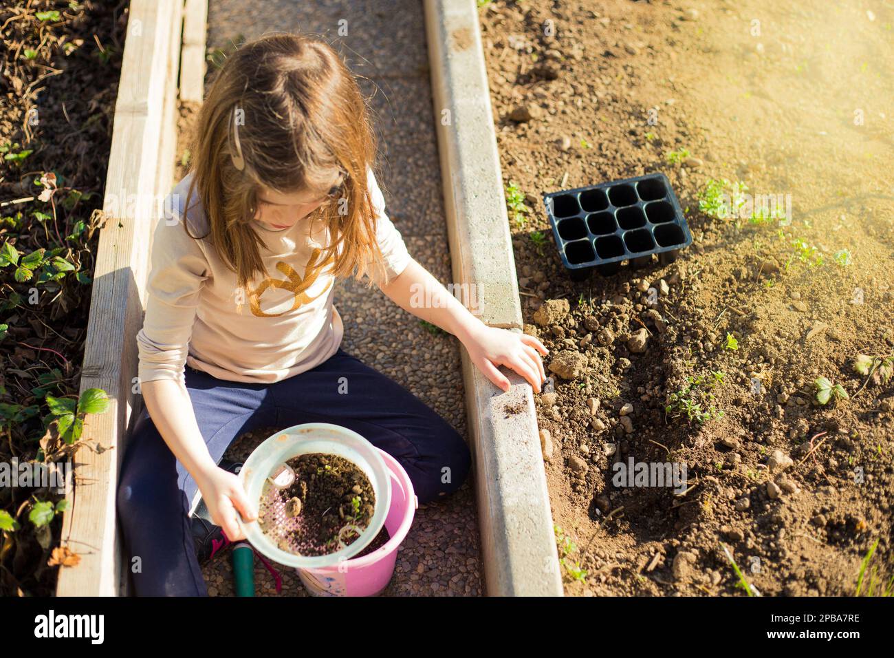 caucasian child girl gardening and preparing soil with a sieve ...