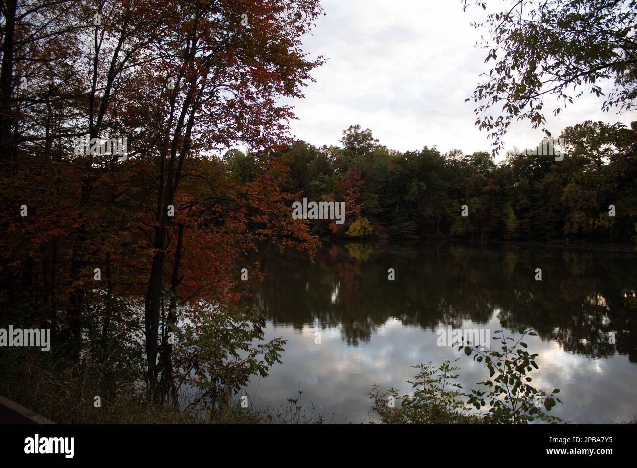 Trees by the lake in the park in Ohio Stock Photo - Alamy