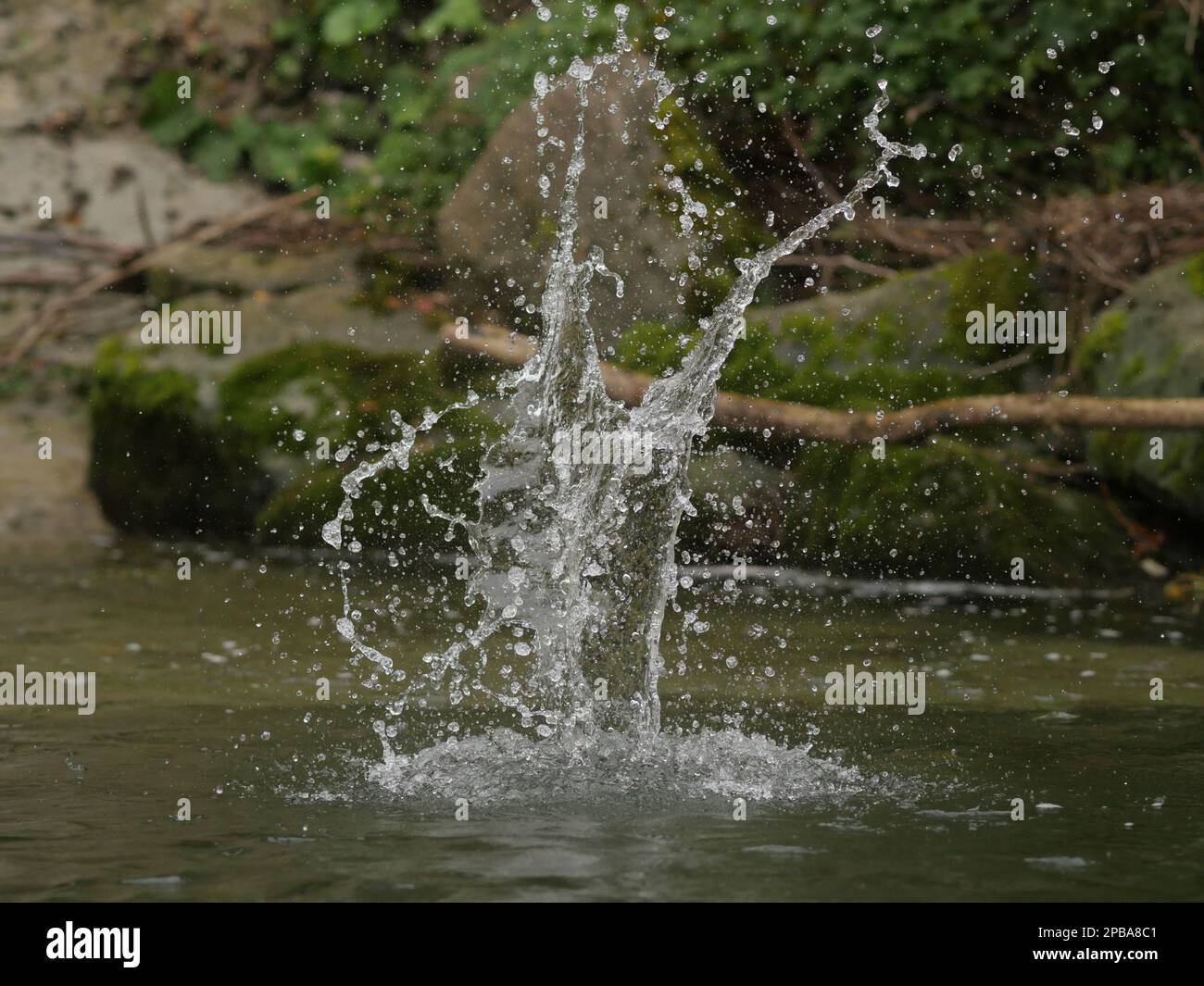 Drops of natural water splash Stock Photo - Alamy