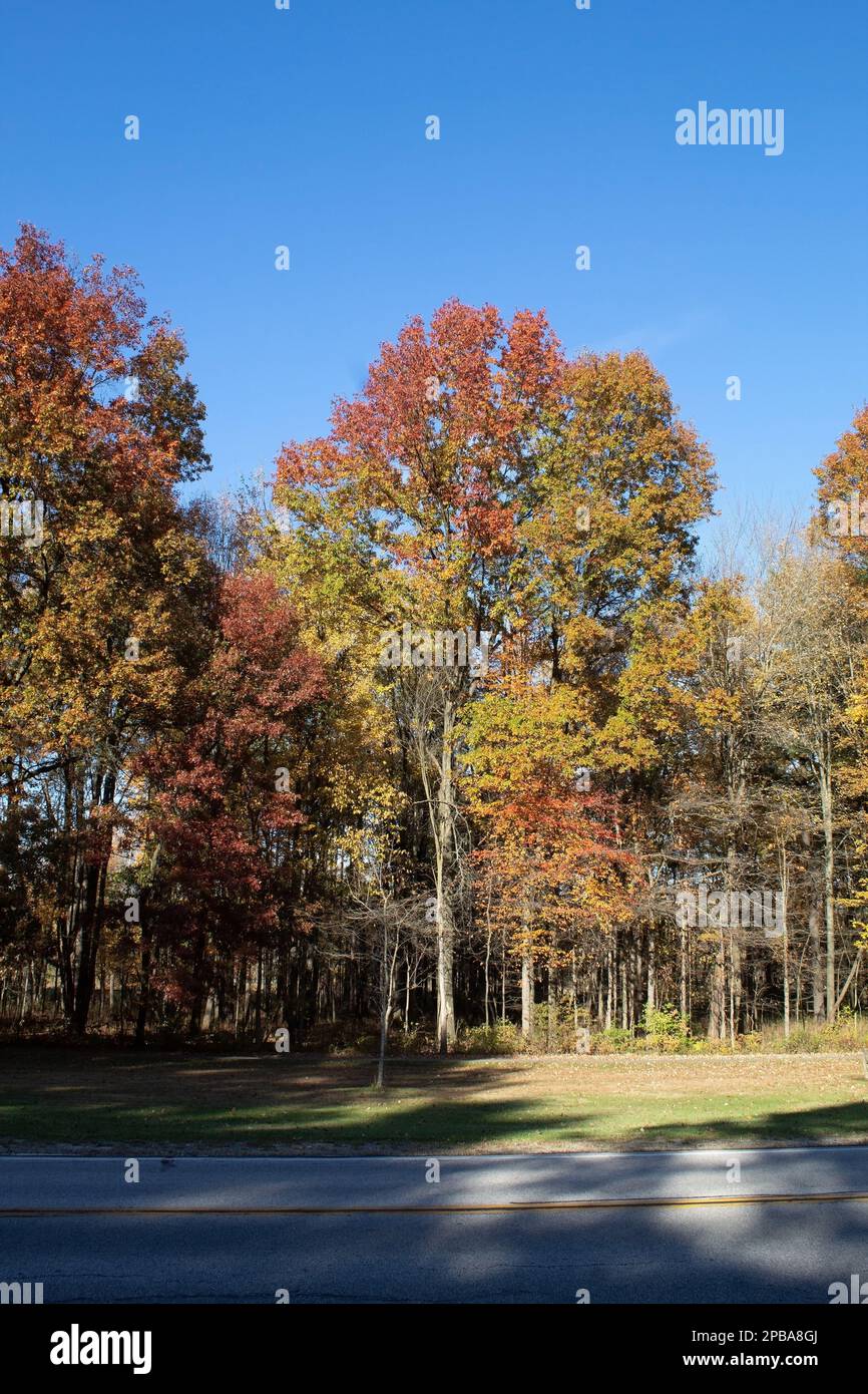 Cleveland metropark fall foliage hi-res stock photography and images ...