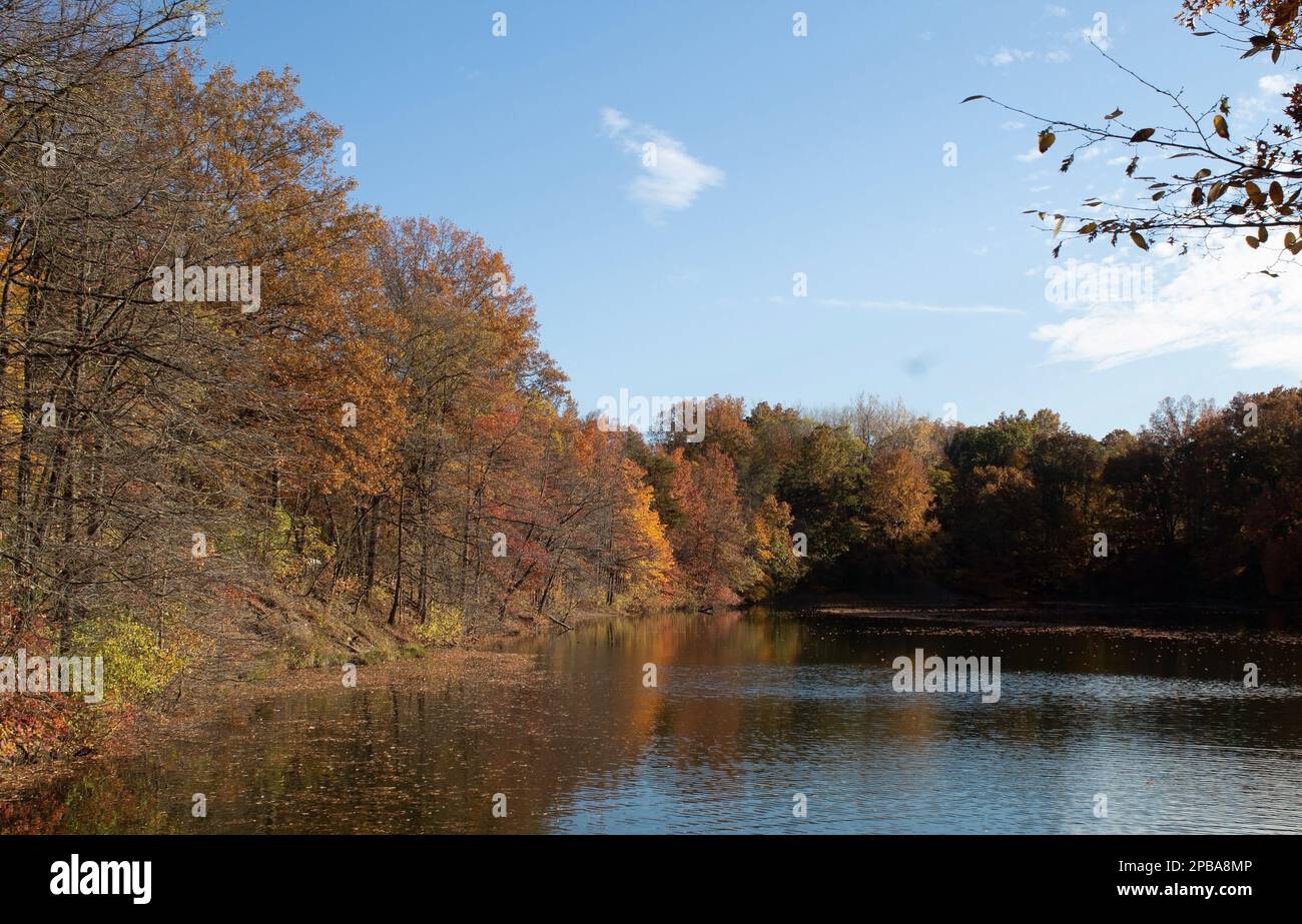 Ohio forest hi-res stock photography and images - Alamy
