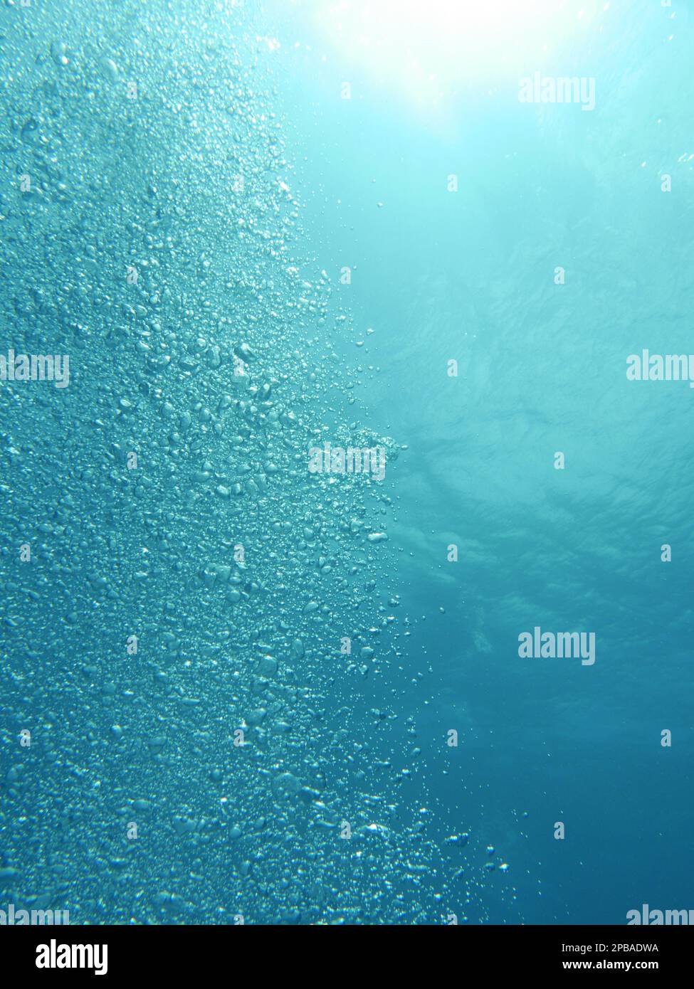 Oxygen bubbles fish hi-res stock photography and images - Alamy