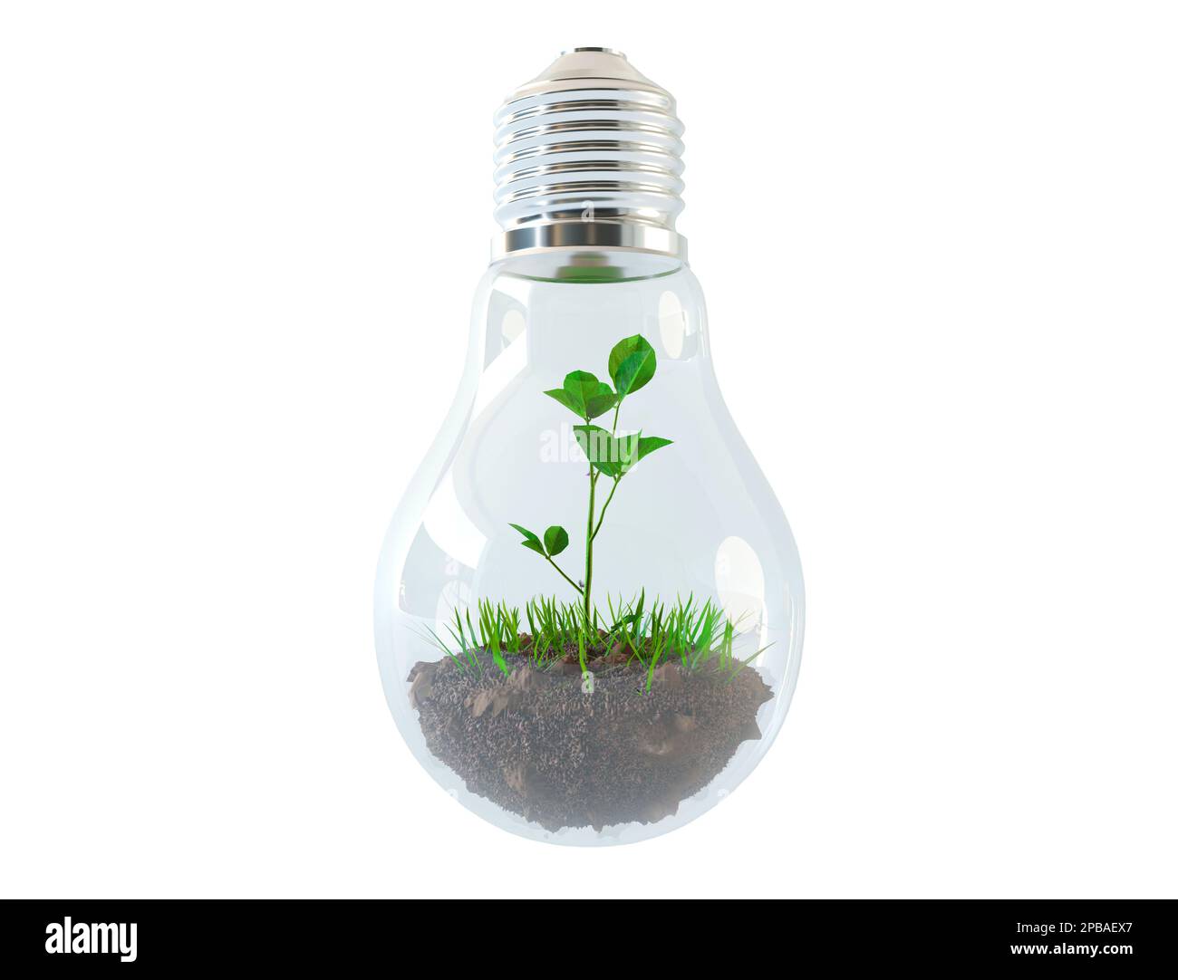 A green sprout in the soil inside a light bulb isolated on white ...