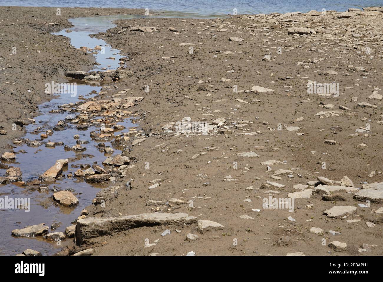 Tributary stream of a lake on the dried up bottom of soil. A sign of ...
