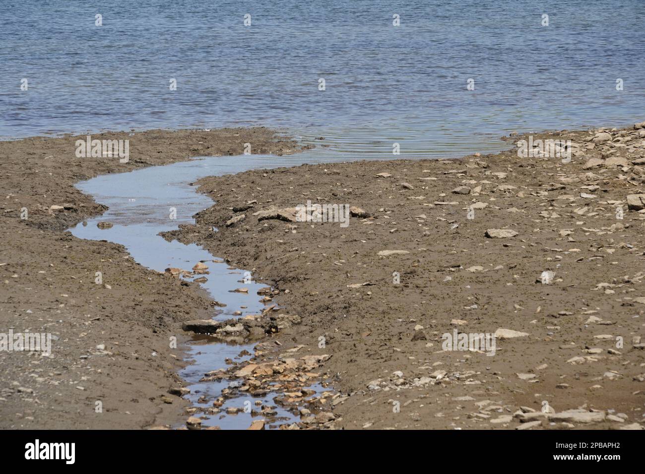 Tributary stream of a lake on the dried up bottom of soil. A sign of ...