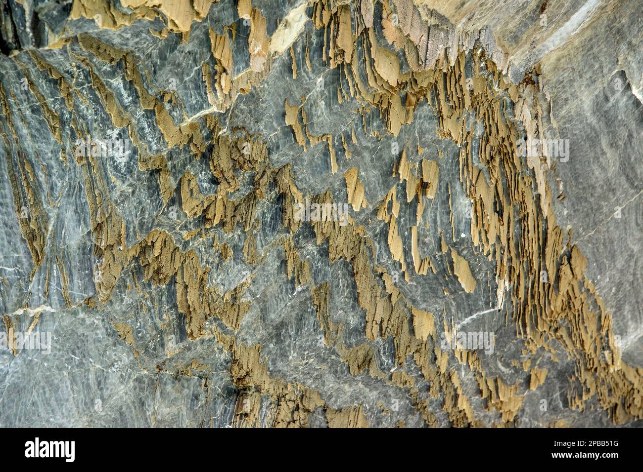Close-up of some plate-like inclusions in the eroded marble of Marble ...