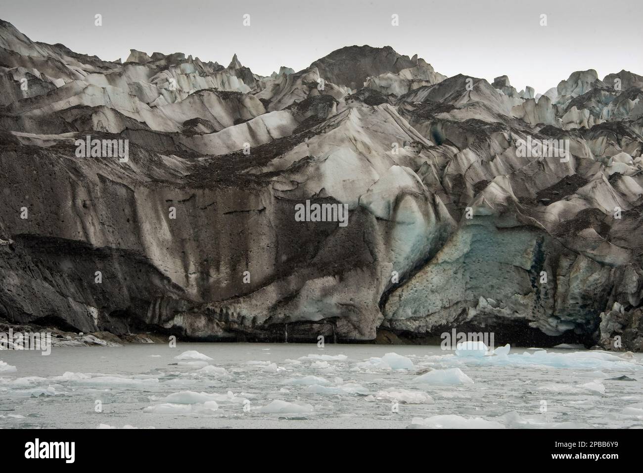 Lateral moraine where it terminates at the face of Jorge Montt Glacier ...