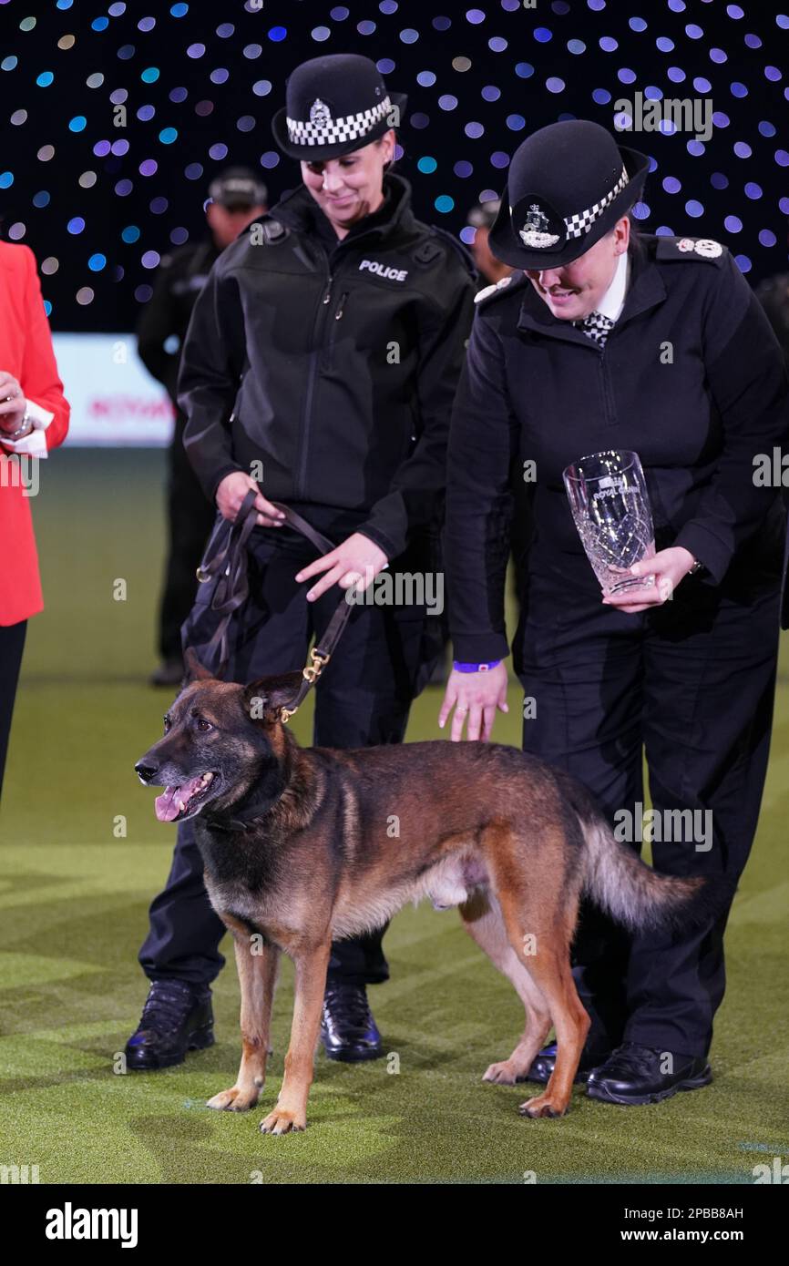 Police Dog Ben who has won police dog of the year during the fourth day ...