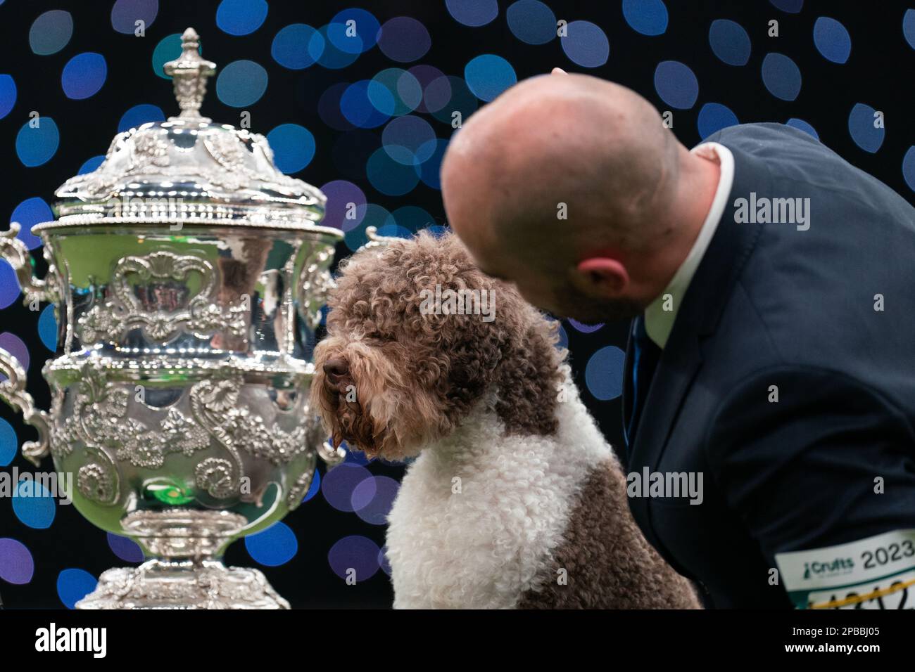 Orca the Lagotto Romagnolo with handler Javier Gonzalez Mendikote who ...