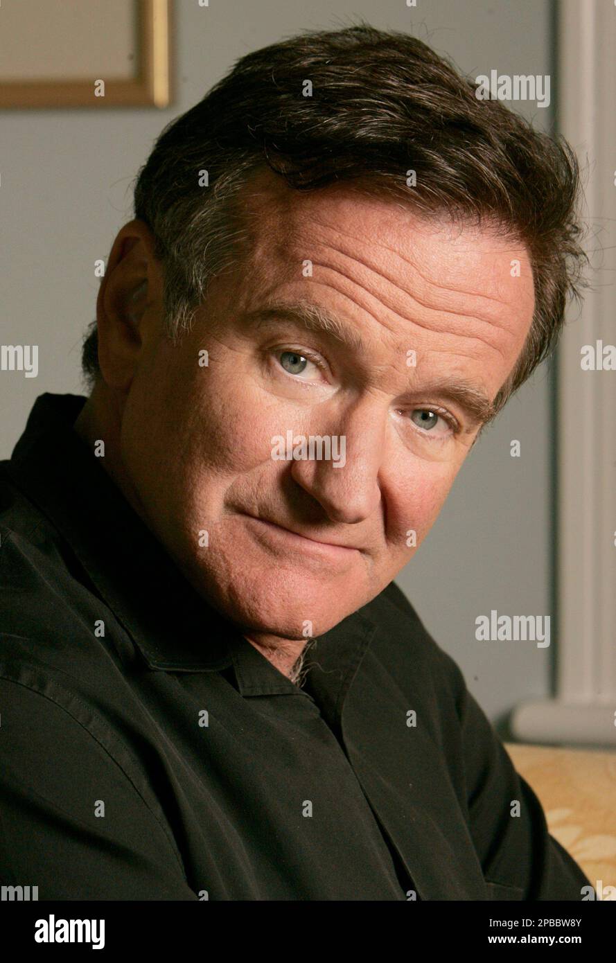 License To Wed Robin Williams