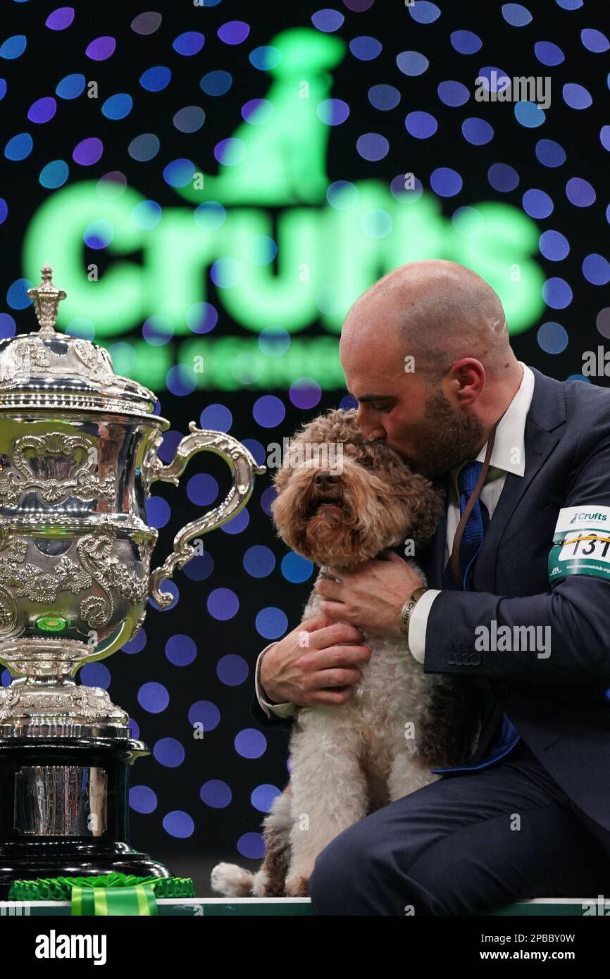 Orca the Lagotto Romagnolo with handler Javier Gonzalez Mendikote who ...