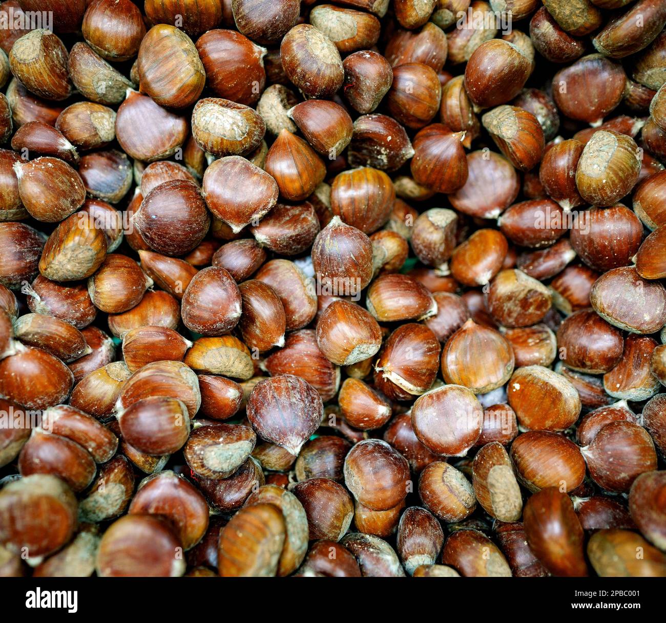 Acorns in the supermarket. Forgotten superfood Stock Photo - Alamy