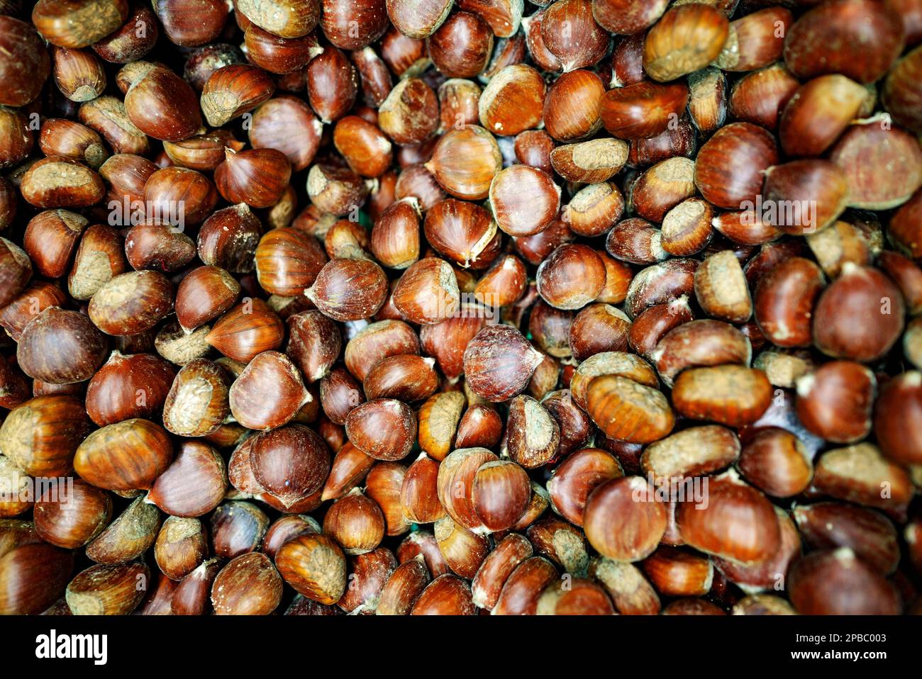Acorns in the supermarket. Forgotten superfood Stock Photo - Alamy