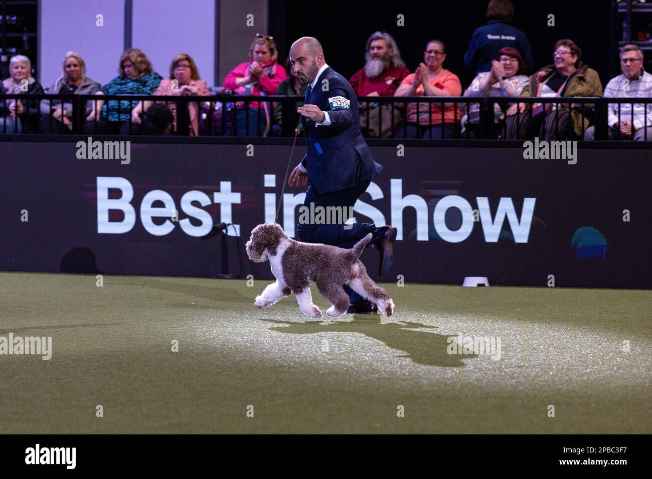 Birmingham, 12 March 2023. Best in Show winner & Champion of Crufts ...