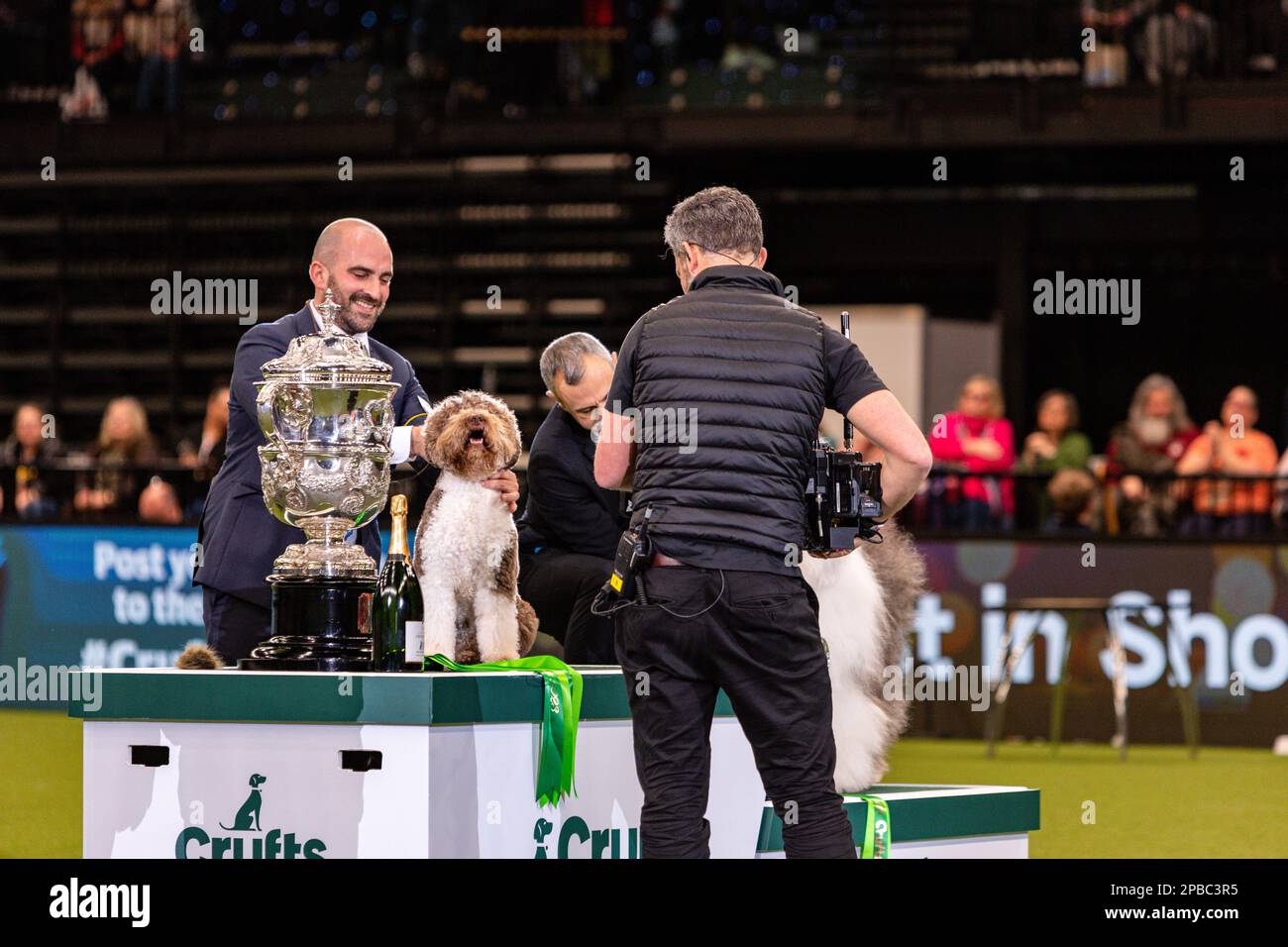 Birmingham, 12 March 2023. Best in Show winner & Champion of Crufts ...