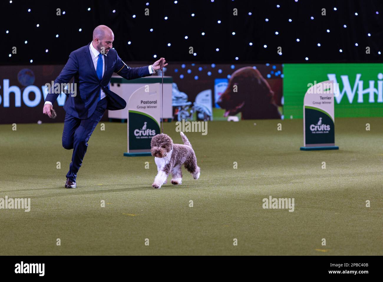 Birmingham, 12 March 2023. Best in Show winner & Champion of Crufts ...