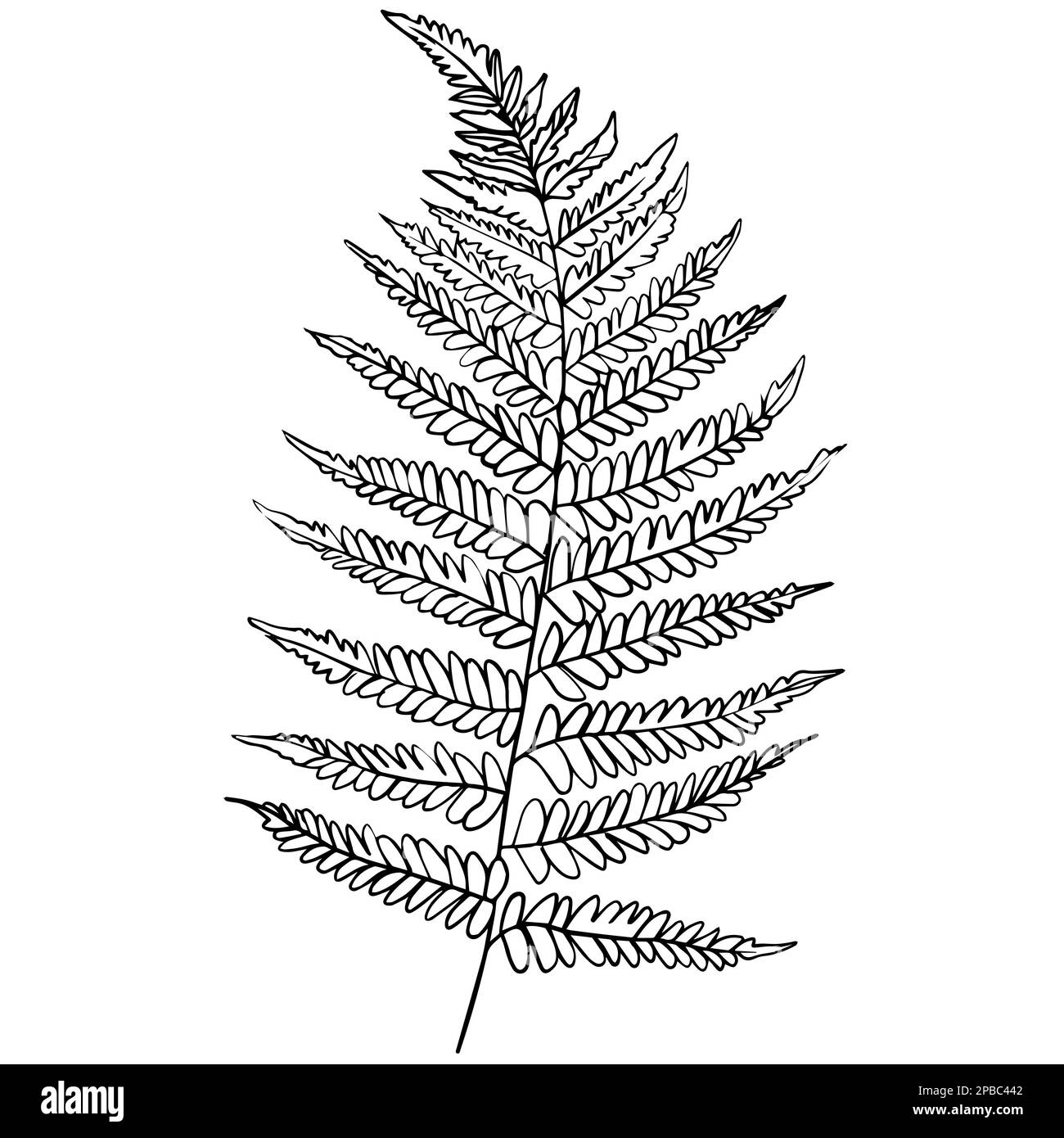 Plant Art Pack Stock Photo Alamy plant-art-pack-stock-photo-alamy