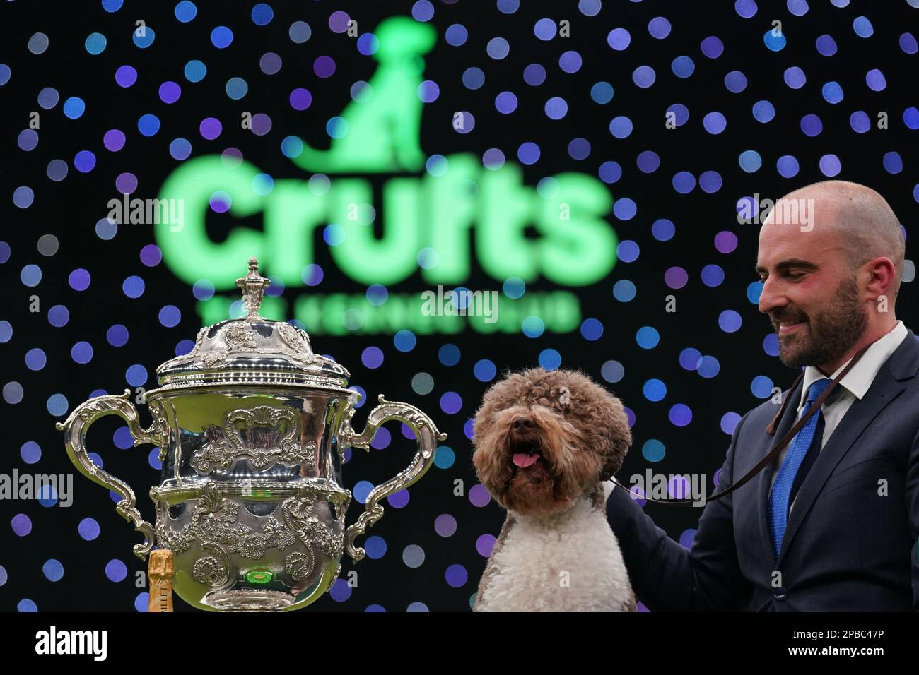 Orca the Lagotto Romagnolo with handler Javier Gonzalez Mendikote who ...