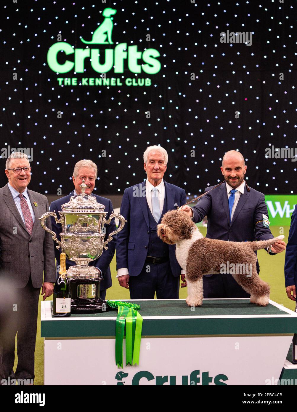 Birmingham, 12 March 2023. Best in Show winner & Champion of Crufts ...