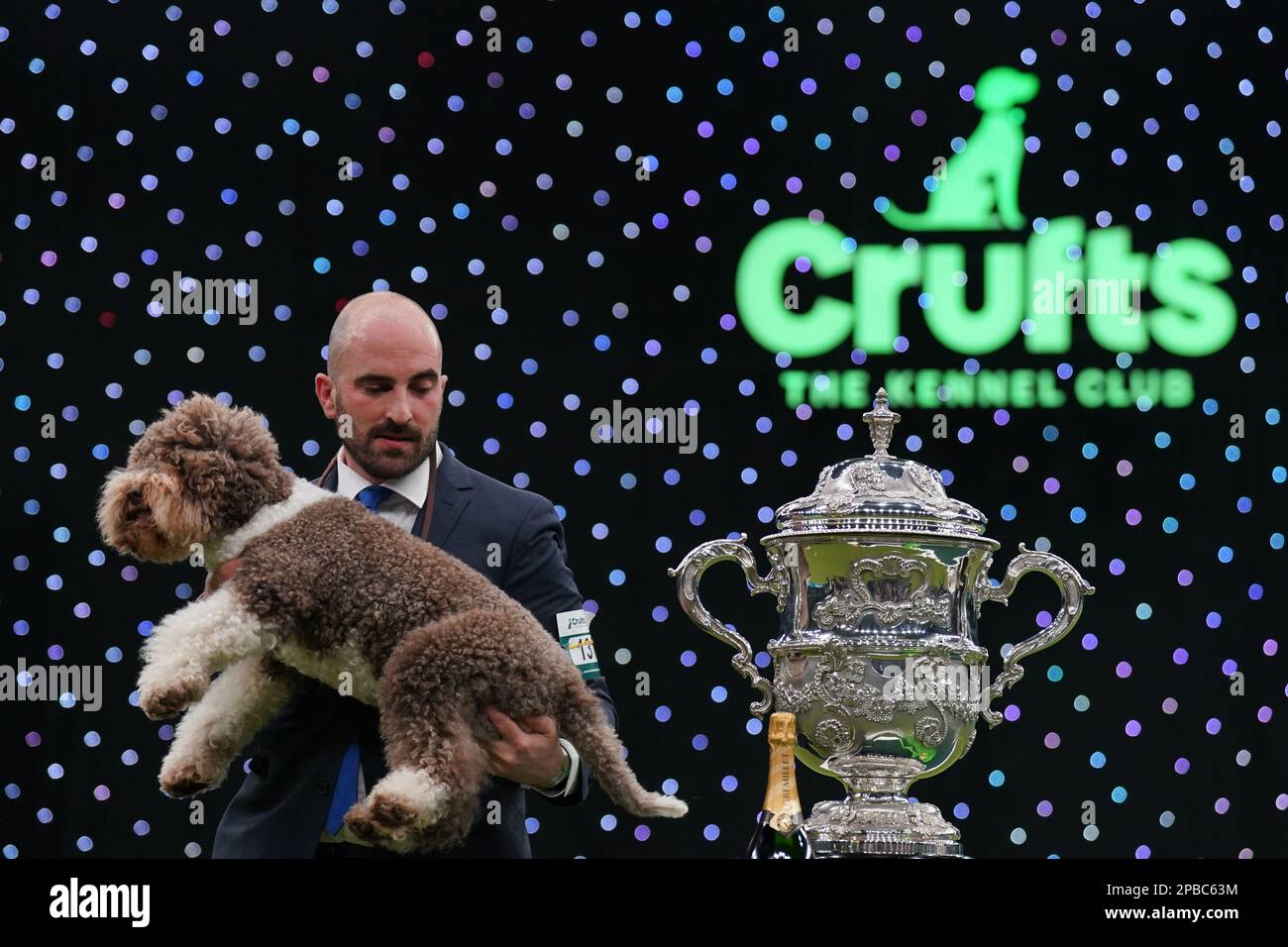 Orca the Lagotto Romagnolo with handler Javier Gonzalez Mendikote who ...