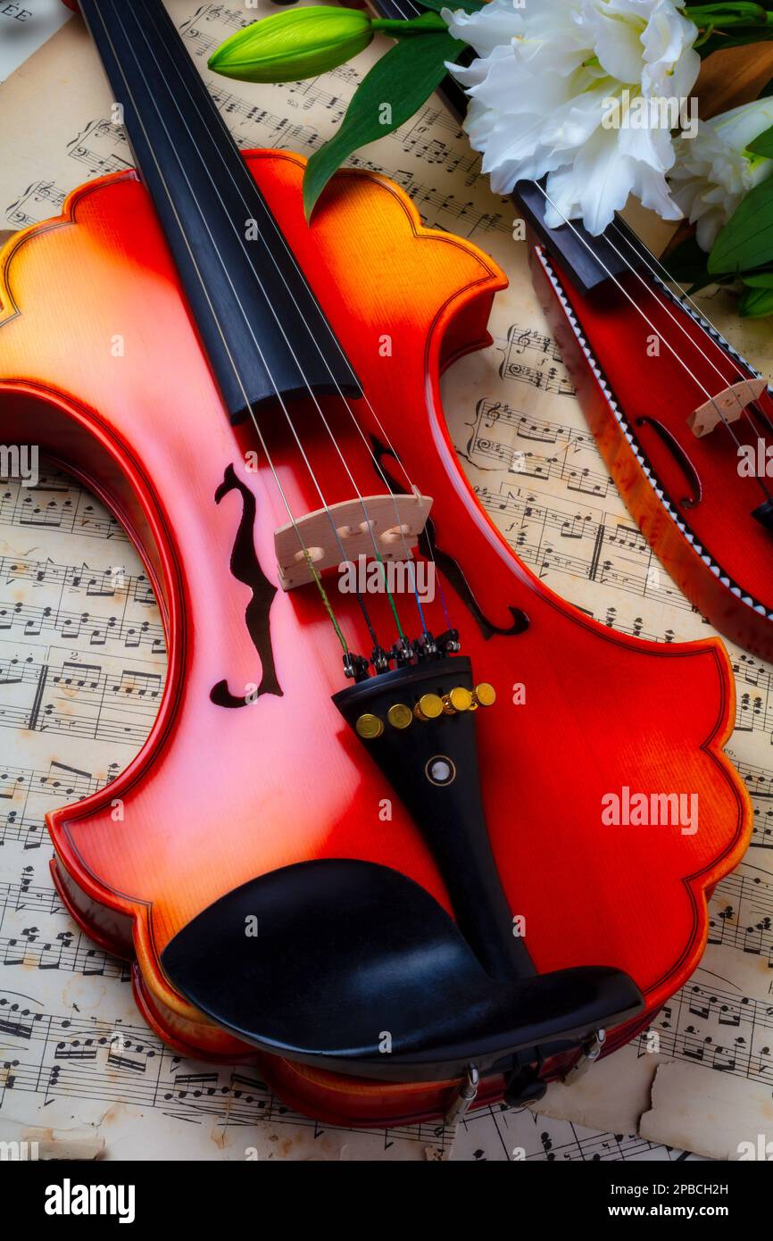 String lilies hi-res stock photography and images - Alamy