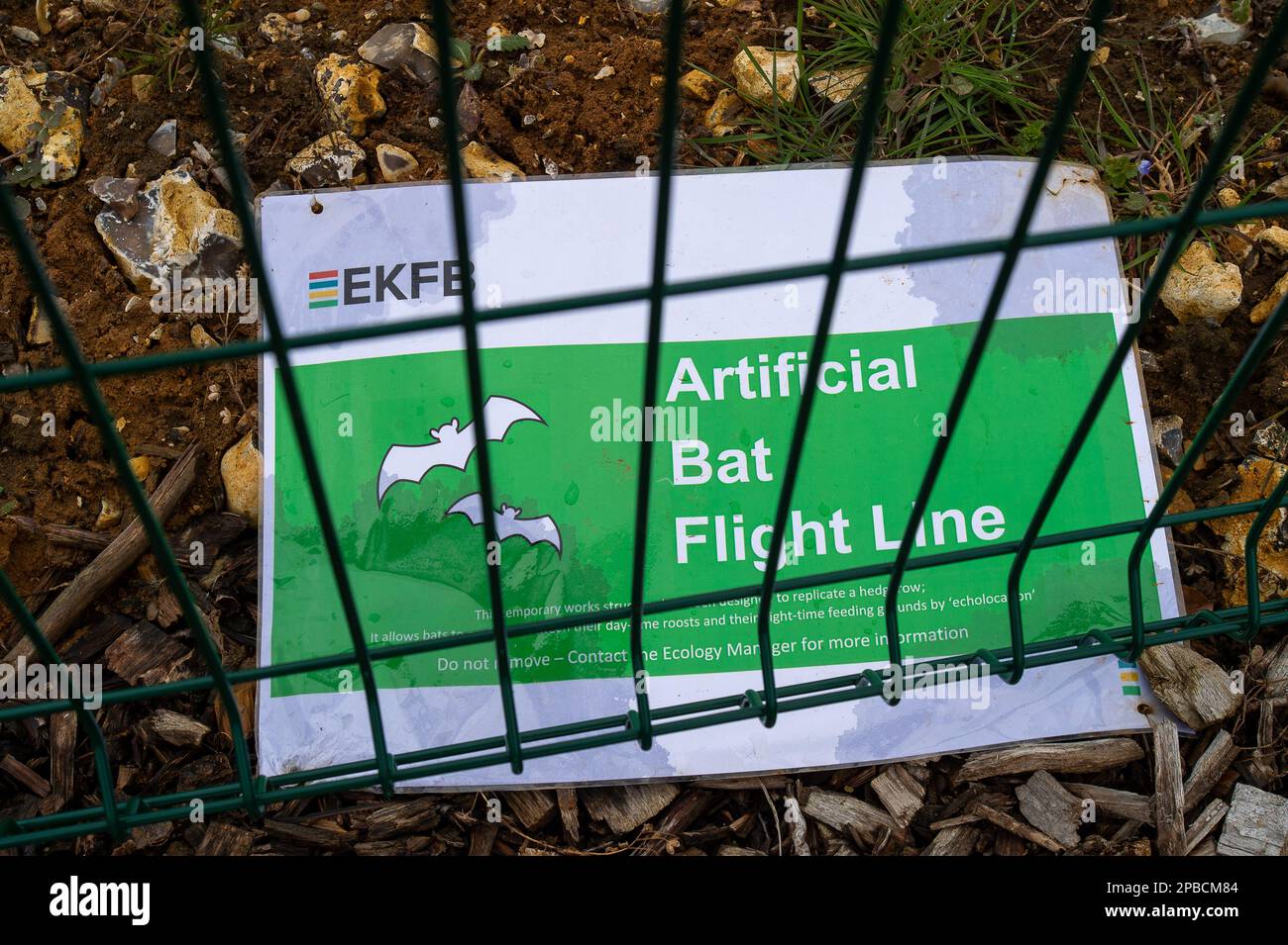 Artificial bat flight corridor hi-res stock photography and images - Alamy