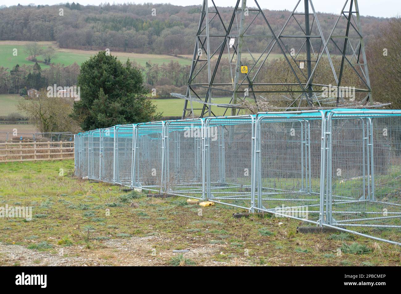 Artificial bat flight corridor hi-res stock photography and images - Alamy