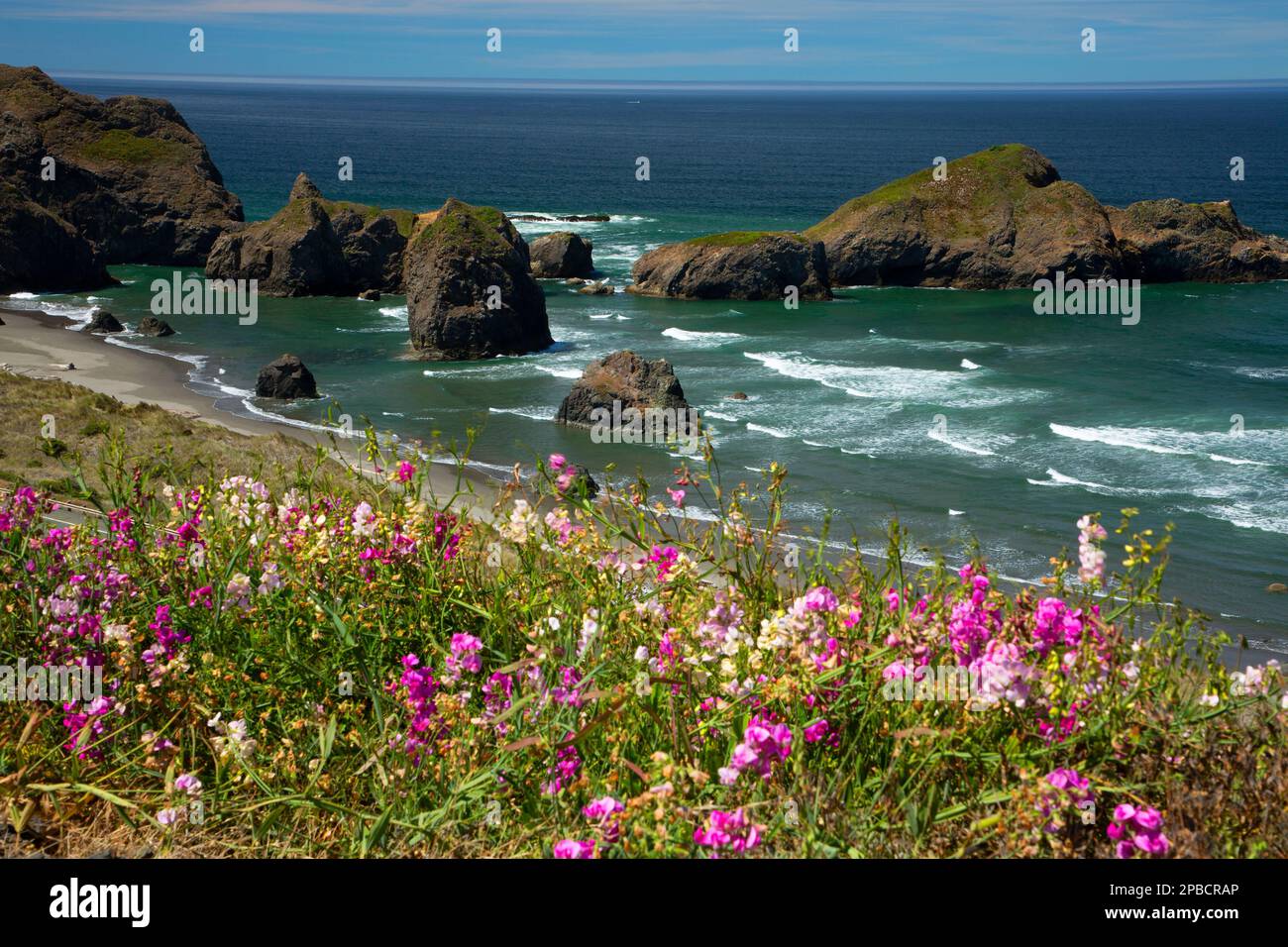 Myers Beach view, Cape Sebastian State Park, Oregon Stock Photo - Alamy